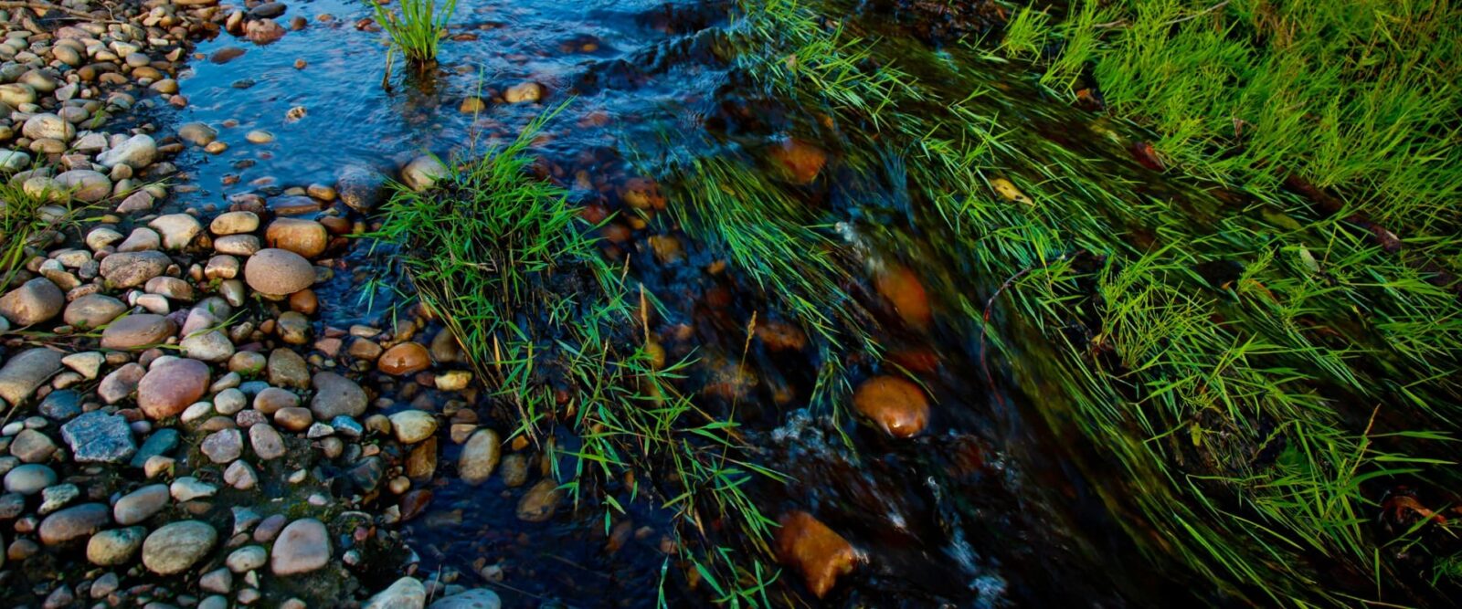 Lesser Slave River | Landfill & Recycling