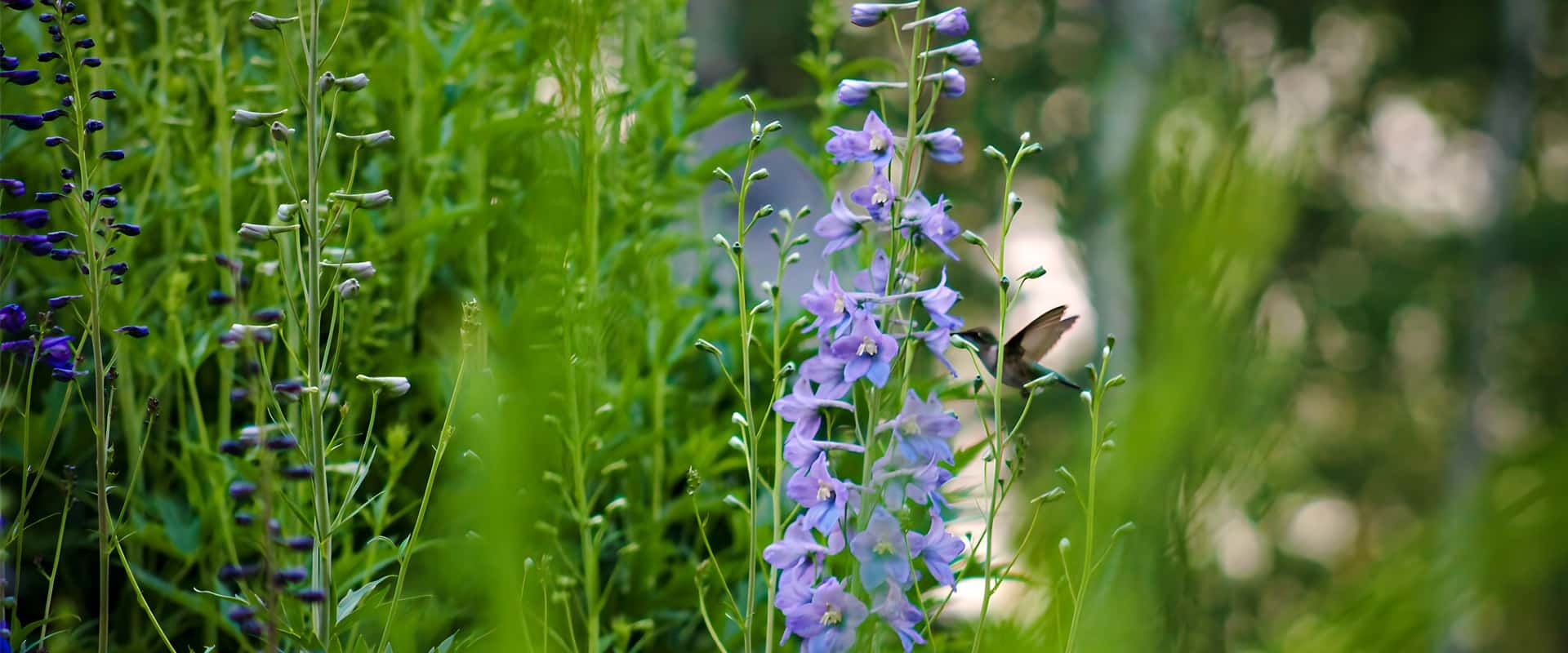 Lesser Slave River | MD Moments Photo Contest