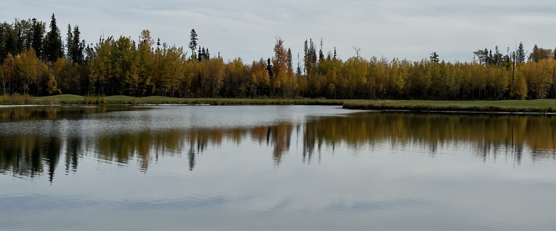 Lesser Slave River | Beaver Control