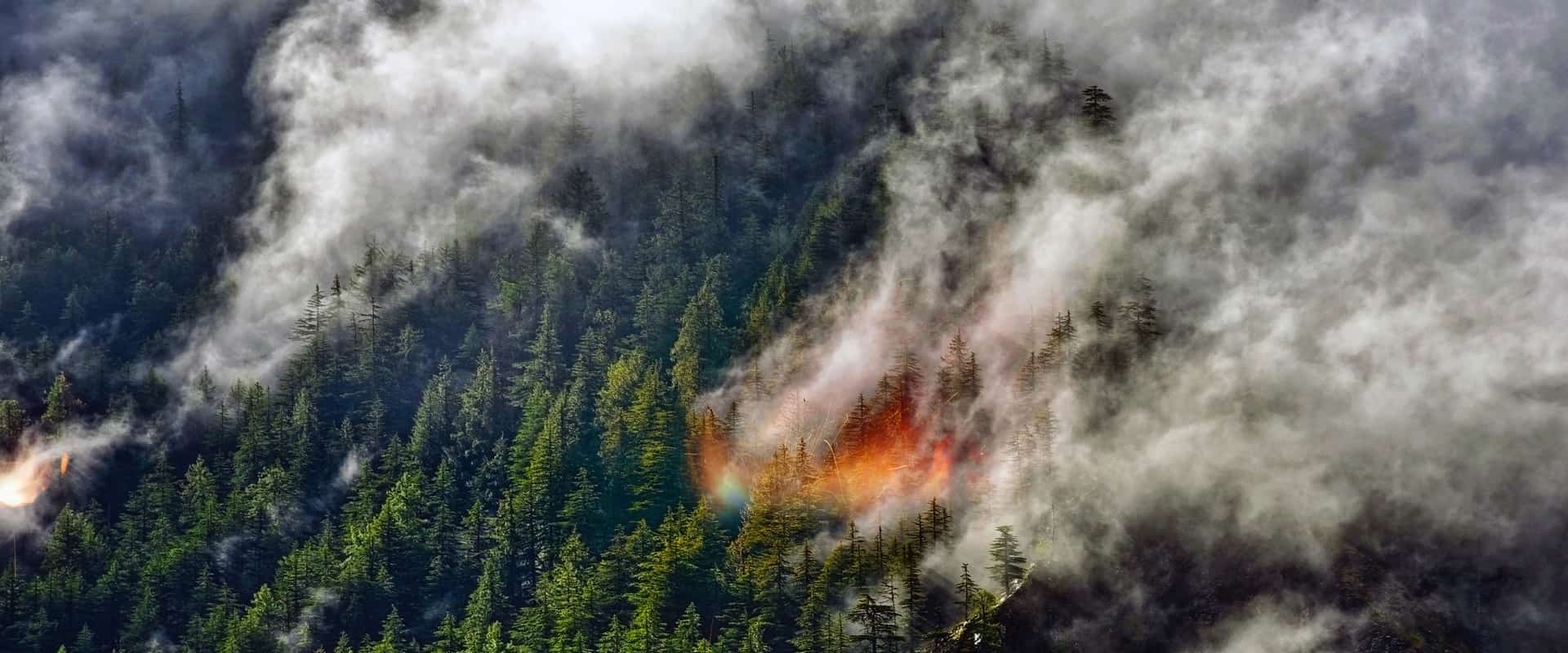 Lesser Slave River | Wildfire Notification