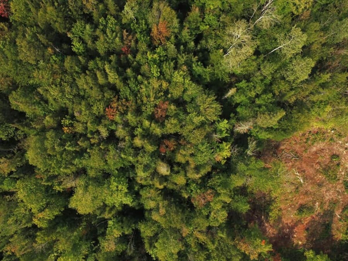 Lesser Slave River | Maps & Geospatial Data