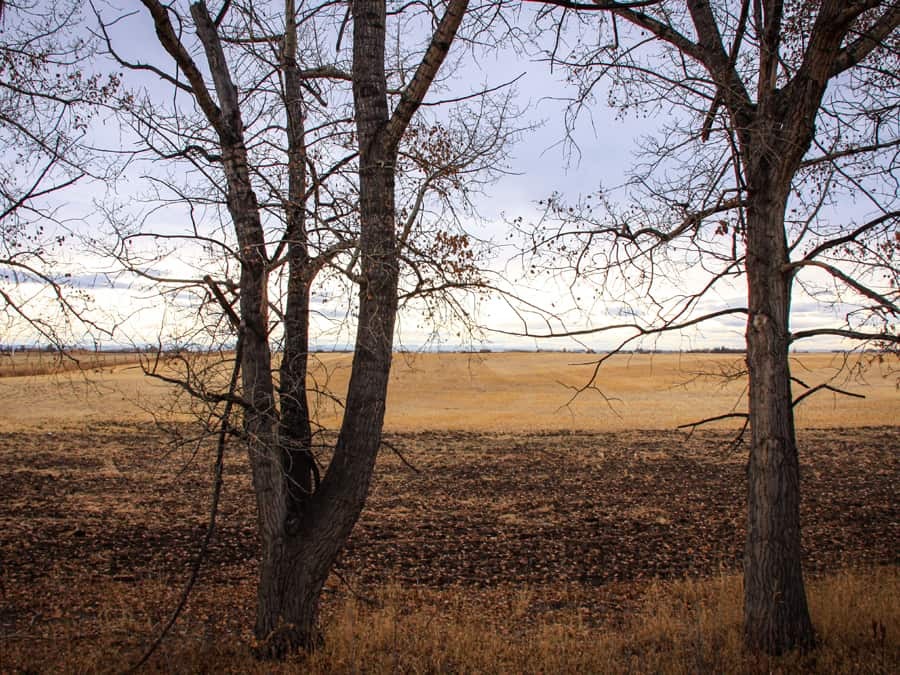 Lesser Slave River | Publications