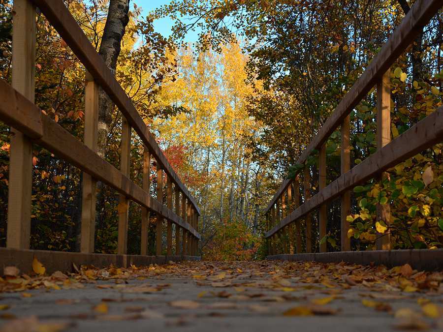 Lesser Slave River | Recreation & Activities