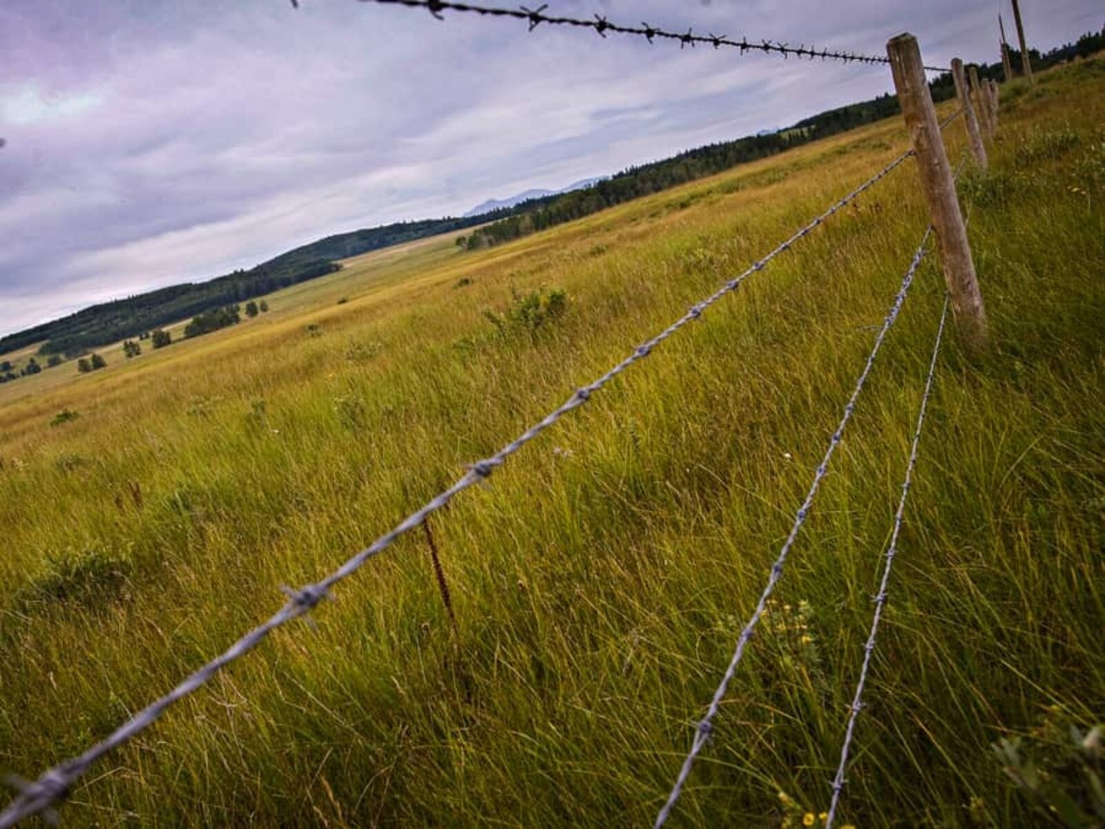 Lesser Slave River | About Lesser Slave River